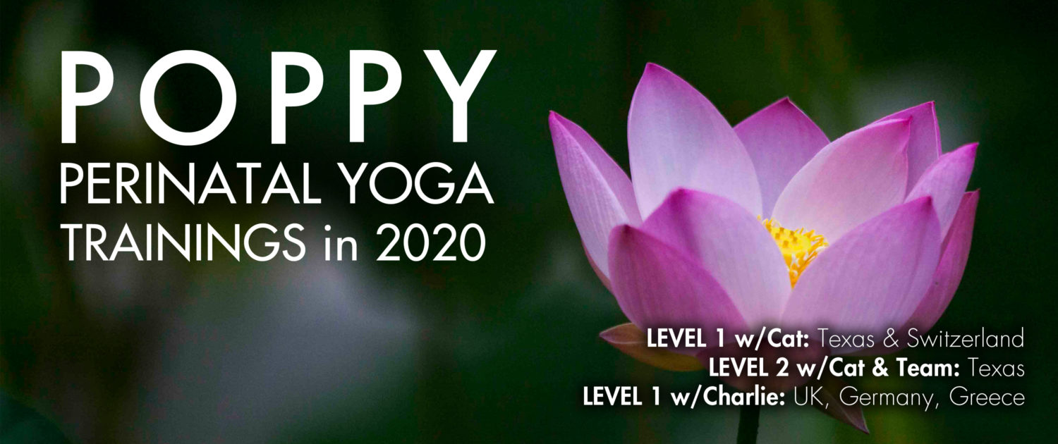 Poppy Perinatal Prenatal Postnatal Yoga – Yoga for Pregnancy and Postpartum